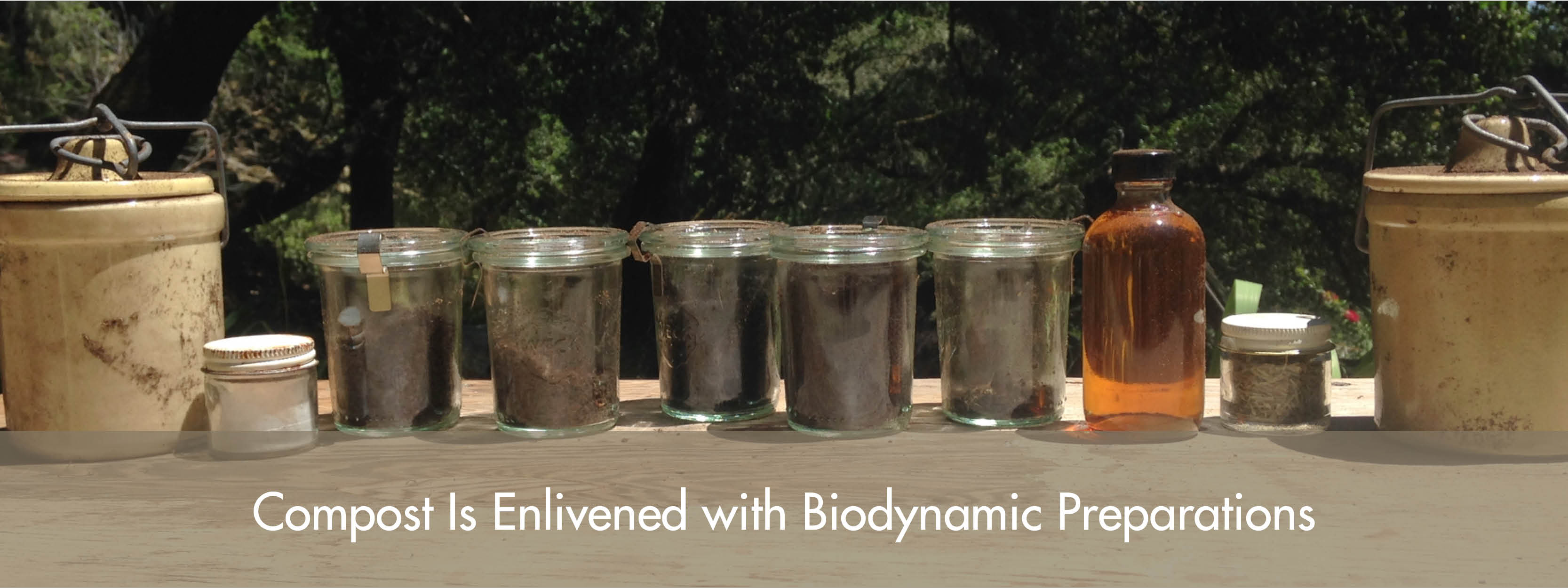 What Is Biodynamics? | Biodynamic Association